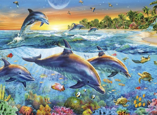 Dolphin Fish Hd Wallpaper - Dolphins So Long And Thanks For All ...