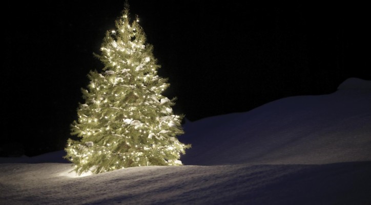 Lighted Christmas Tree In Snow - 1920x1060 Wallpaper - teahub.io