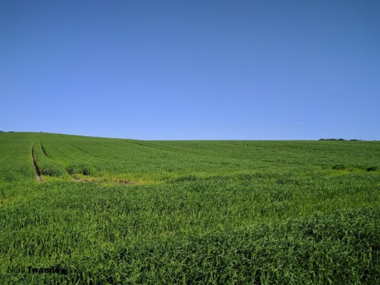 Windows Xp Field Now - 3200x2400 Wallpaper - teahub.io