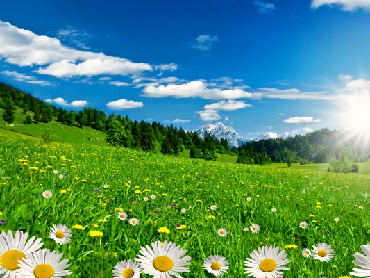 Amazing Spring - 1600x1200 Wallpaper - teahub.io