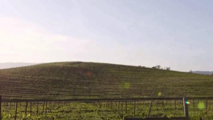 Windows Xp Field Now - 3200x2400 Wallpaper - teahub.io