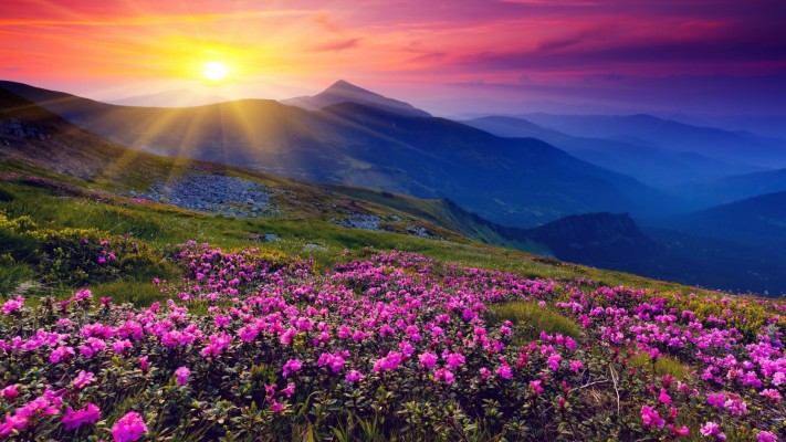 Beautiful Mountain Hd Background - 1242x2688 Wallpaper - teahub.io