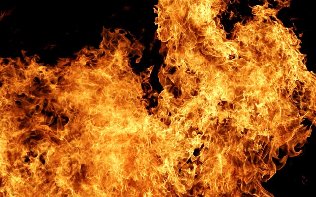 Wallpaper - Penny Flame - 1920x1080 Wallpaper - teahub.io