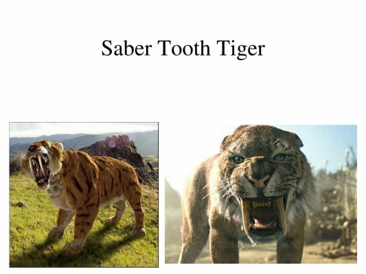 Roaring Saber Tooth Tiger Tiger - 735x800 Wallpaper - teahub.io