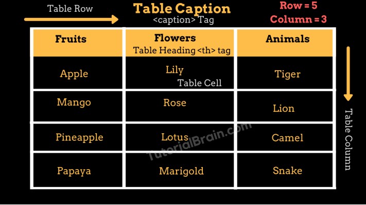 Css Tables - Advance Table Design Css - 1920x1080 Wallpaper - teahub.io
