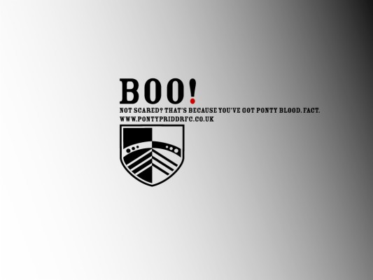 Pontypridd Rfc - 1024x768 Wallpaper - teahub.io