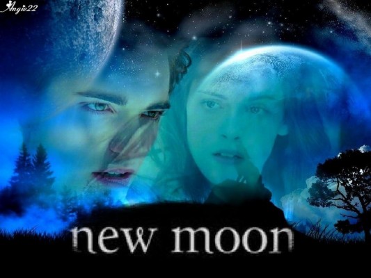 New Moon - Wolf Looking At The Moon - 1024x768 Wallpaper - teahub.io