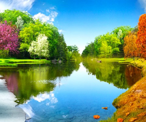 1920x1080, Four Seasons Hd Wallpaper - 4 Seasons In One - 1920x1080 ...