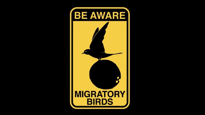 Monty Python Migratory Birds - 1920x1080 Wallpaper - teahub.io
