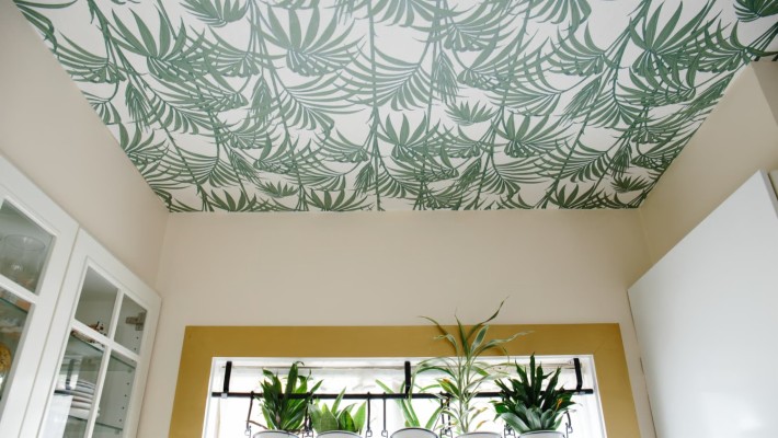 Hide Ugly Drop Ceiling - 1500x844 Wallpaper - teahub.io