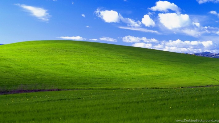 Thumb Image - Windows 7 Wallpaper Grass - 1920x1080 Wallpaper - teahub.io