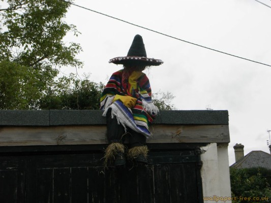 Mexican Living Scarecrow - Tree - 1024x768 Wallpaper - teahub.io