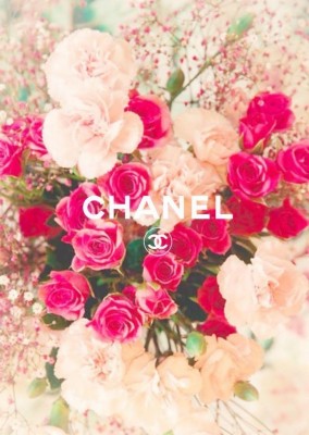 Coco Chanel Wallpapers - Chanel Flowers - 750x1054 Wallpaper - teahub.io