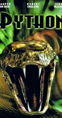 Python 2000 - 630x1200 Wallpaper - teahub.io