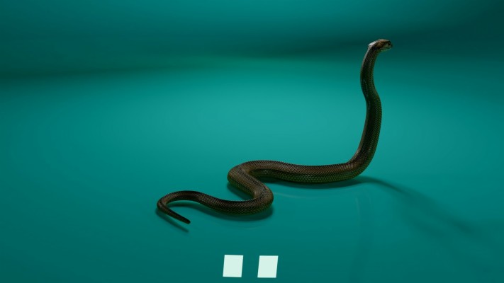 King Snake Maya Model - 1920x1080 Wallpaper - teahub.io