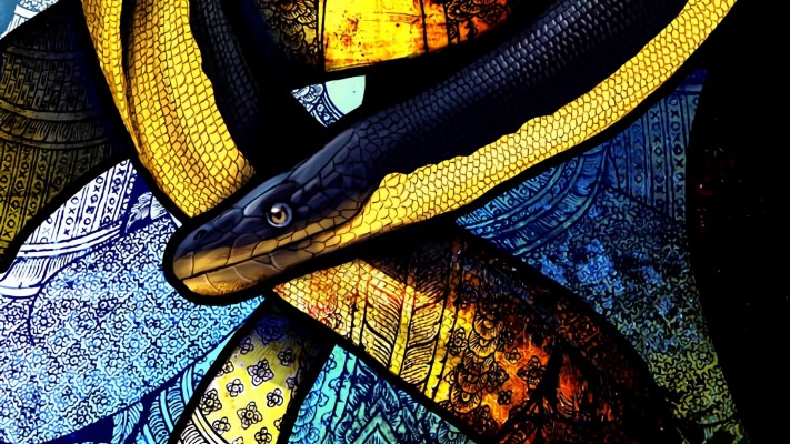 Wallpaper Snake, Winding, Patterns, Art - 1920x1080 Wallpaper - teahub.io
