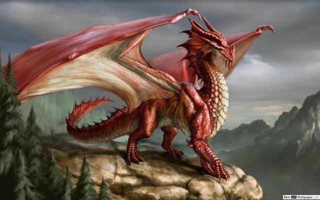 European Dragon - 2560x1600 Wallpaper - teahub.io