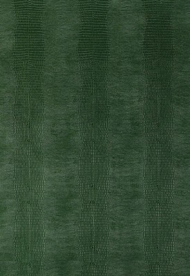 Forest Green Textured - 800x1163 Wallpaper - teahub.io