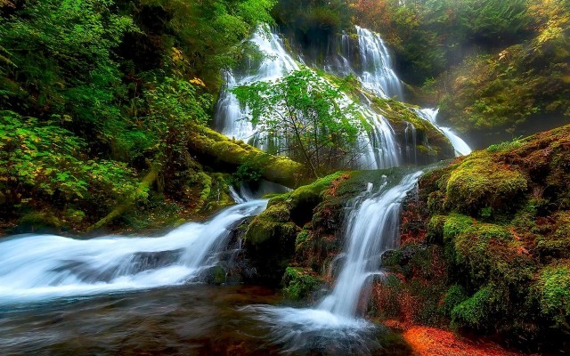 Beautiful Greenery Of Real Nature Scene Wallpaper Free - High Quality ...