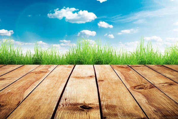 Beautiful Sunny Day Scene - Photography Background - 1050x700 Wallpaper ...