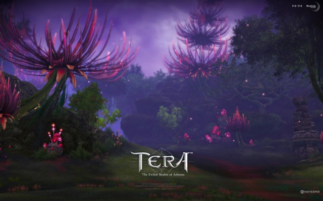 Tera Online - 1920x1200 Wallpaper - teahub.io