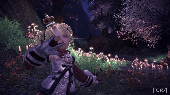 Tera Elin Background - 1920x1080 Wallpaper - teahub.io