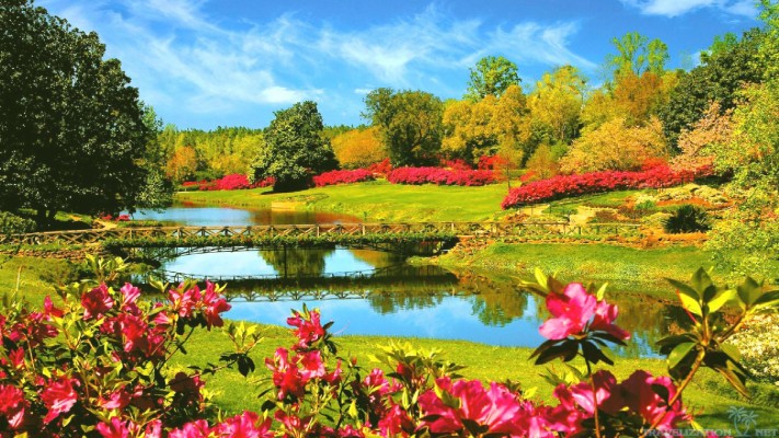 Download Nachural Hd Wallpapers and Backgrounds - teahub.io