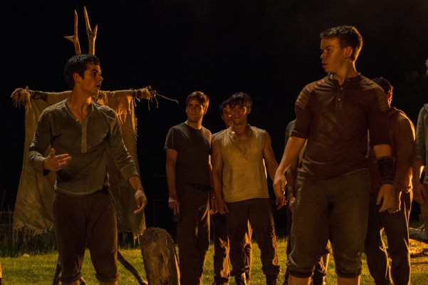 Maze Runner Thomas And Gally - 3190x2123 Wallpaper - teahub.io