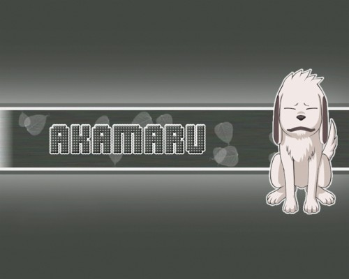 Naruto Akamaru - 1280x1024 Wallpaper - teahub.io