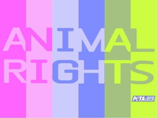 Animal Rights Background - 1025x769 Wallpaper - teahub.io