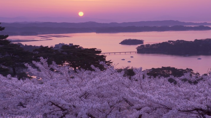 Beautiful View Of Japan - 1920x1080 Wallpaper - teahub.io
