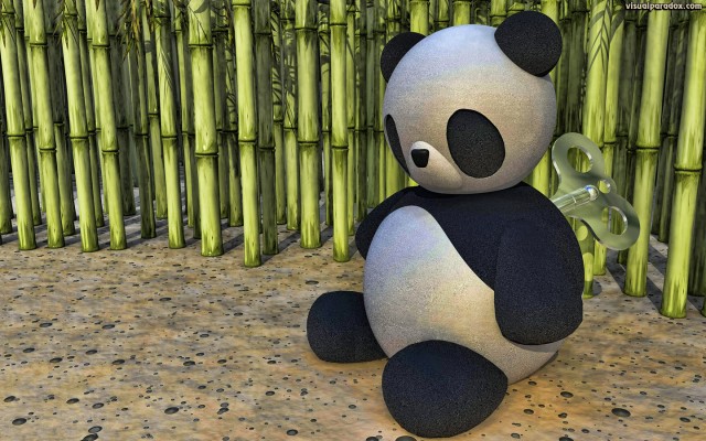 Panda Bear Close Up - 1920x1080 Wallpaper - teahub.io