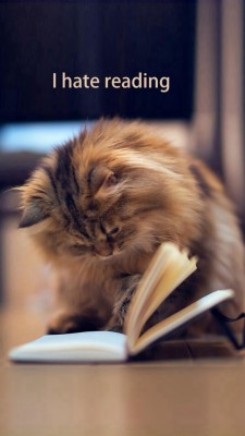 Hate Reading Books Quotes - 1080x1920 Wallpaper - teahub.io