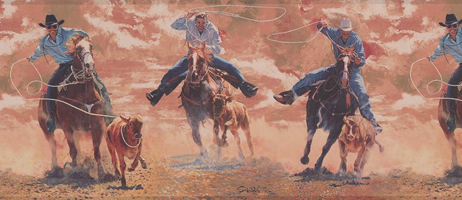 Lasso Rodeo - 1500x650 Wallpaper - teahub.io