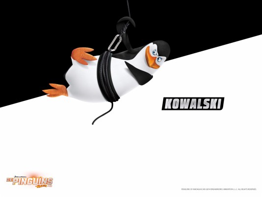 Kowalski Wallpaper Penguins Of Madagascar - 1920x1440 Wallpaper - teahub.io