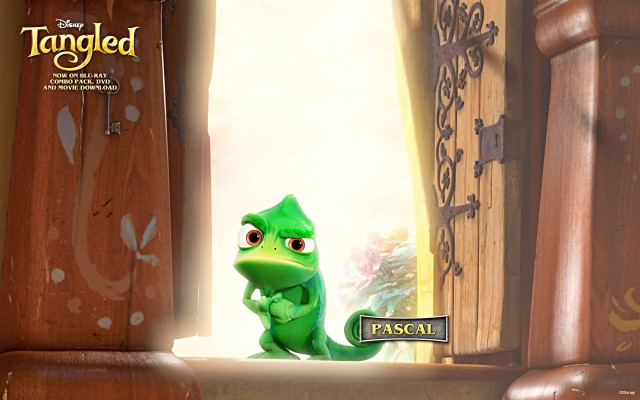 Pascal Tangled - 1067x800 Wallpaper - teahub.io
