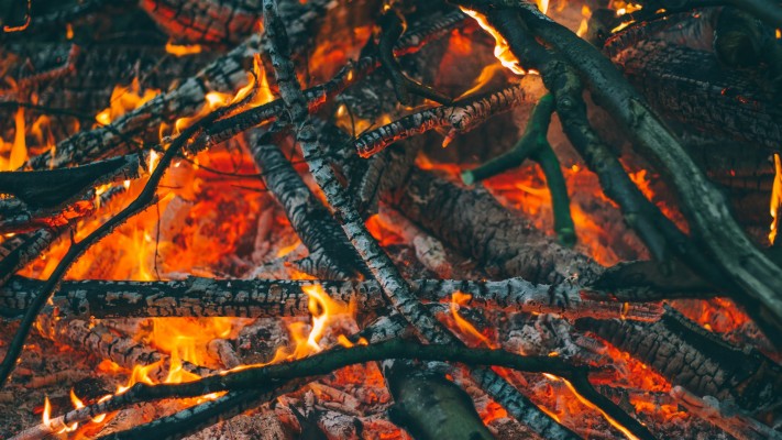 Ember Fire - 2560x1440 Wallpaper - teahub.io