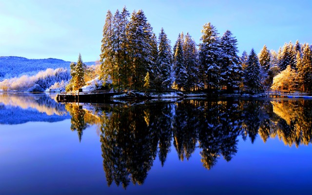Pine, Forest, Cool Nature Wallpapers, Amazing Landscape, - Forest ...