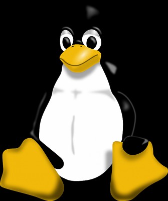 Linux Laptop Screen Wallpaper Wood Penguin - Linux - 1001x828 Wallpaper ...