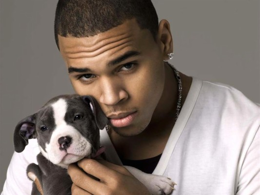 Chris Brown With Pitbull Puppy - 1600x1200 Wallpaper - teahub.io