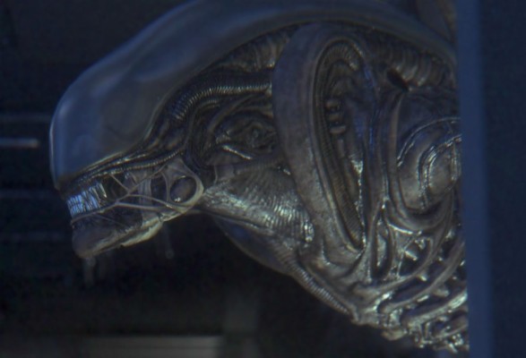 Alien Isolation Monster - 640x1138 Wallpaper - teahub.io