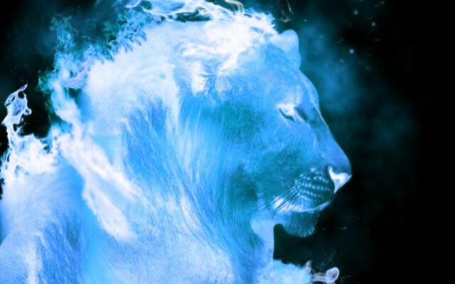 Blue Fire Lion Ice Wallpaper - Sekhmet Fire - 2560x1600 Wallpaper ...