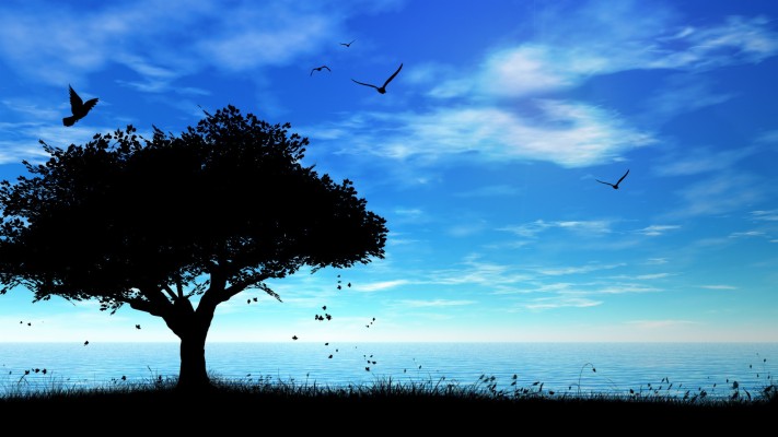 Free Abstract Nature Background - 1600x1200 Wallpaper - teahub.io