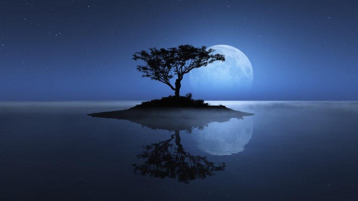 Moonlight Nature Wallpaper Wide For Free Wallpaper - 1920x1080 ...