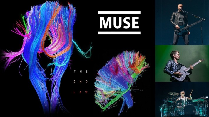 Download This Free Wallpaper With Images Of Muse Absolution, - Collage ...