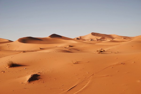 Sahara - Sahara 2005 Movie Poster - 1600x1200 Wallpaper - teahub.io