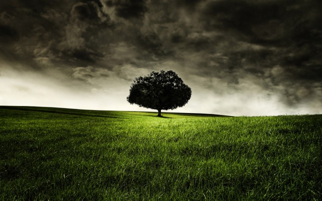 Dark Prairie Wallpaper - Tree In A Storm - 1680x1050 Wallpaper - teahub.io