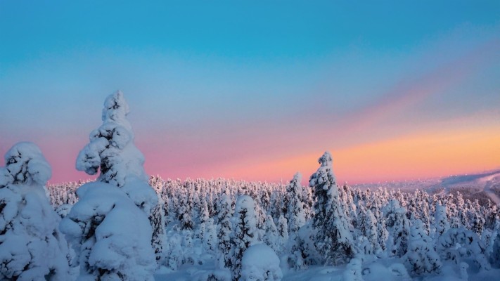 Winter, Sunset, Twilight, Trees, Nature, Wallpaper - Iphone 7 Winter ...