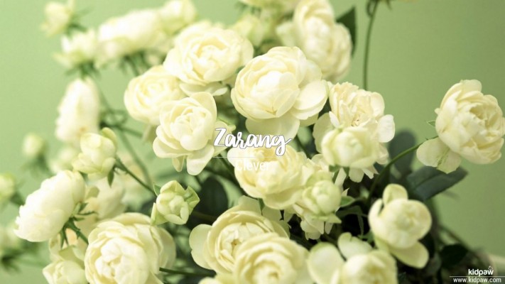 Zara Name Wallpaper - 1920x1080 Wallpaper - teahub.io