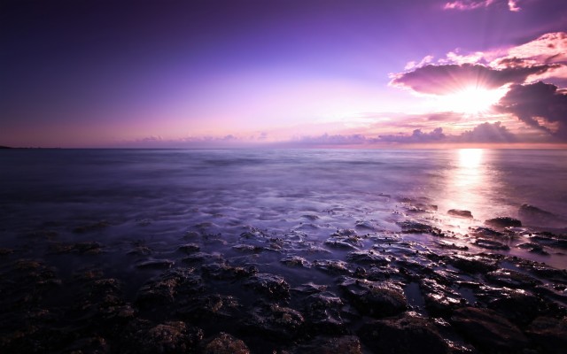 Pretty Purple Sunset Background - 2560x1600 Wallpaper - teahub.io